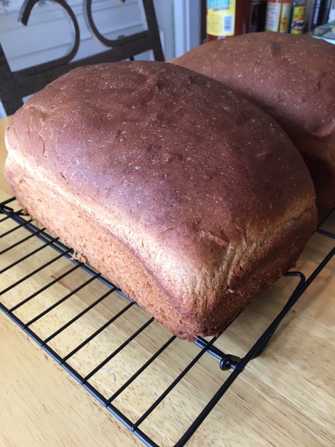 Brown Bread, Brown Bread – The Crunchy Baker
